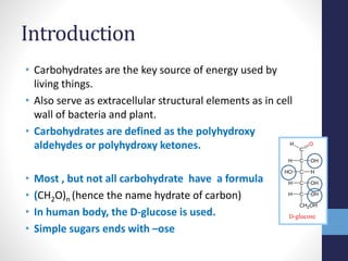 Carbohydrate | PPTX