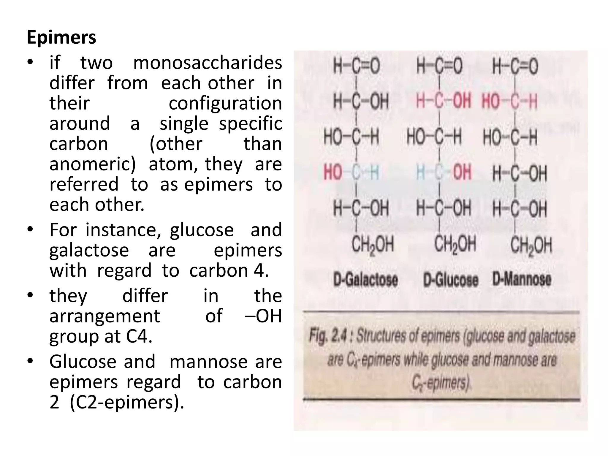 Carbohydrate | PPTX