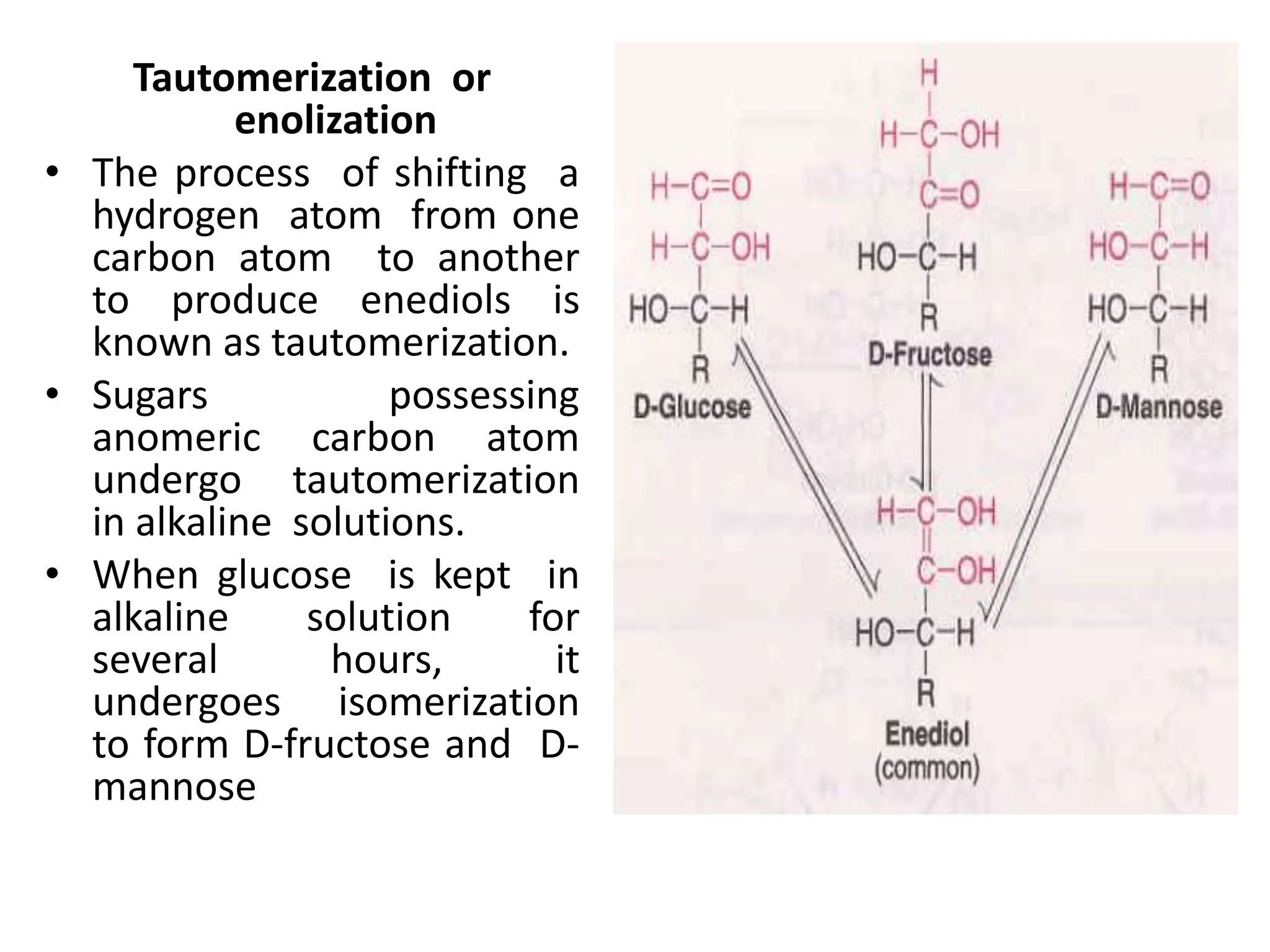 Carbohydrate | PPTX