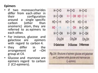 Carbohydrate | PPTX