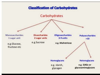 ppt 12 Carbohydrate dr.kd ashish rao | PPTX