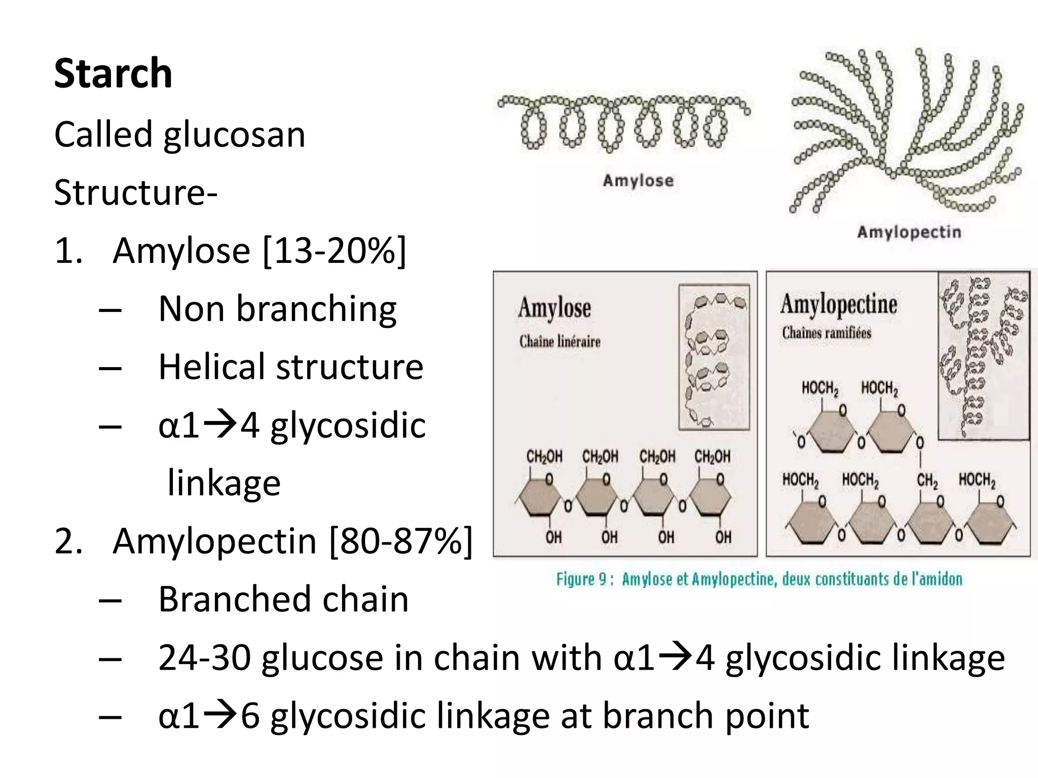 Carbohydrates | PPTX