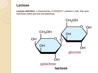 Carbohydrate | PPTX