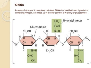 Carbohydrate | PPTX