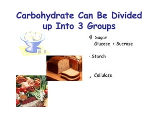 carbohydrates.ppt