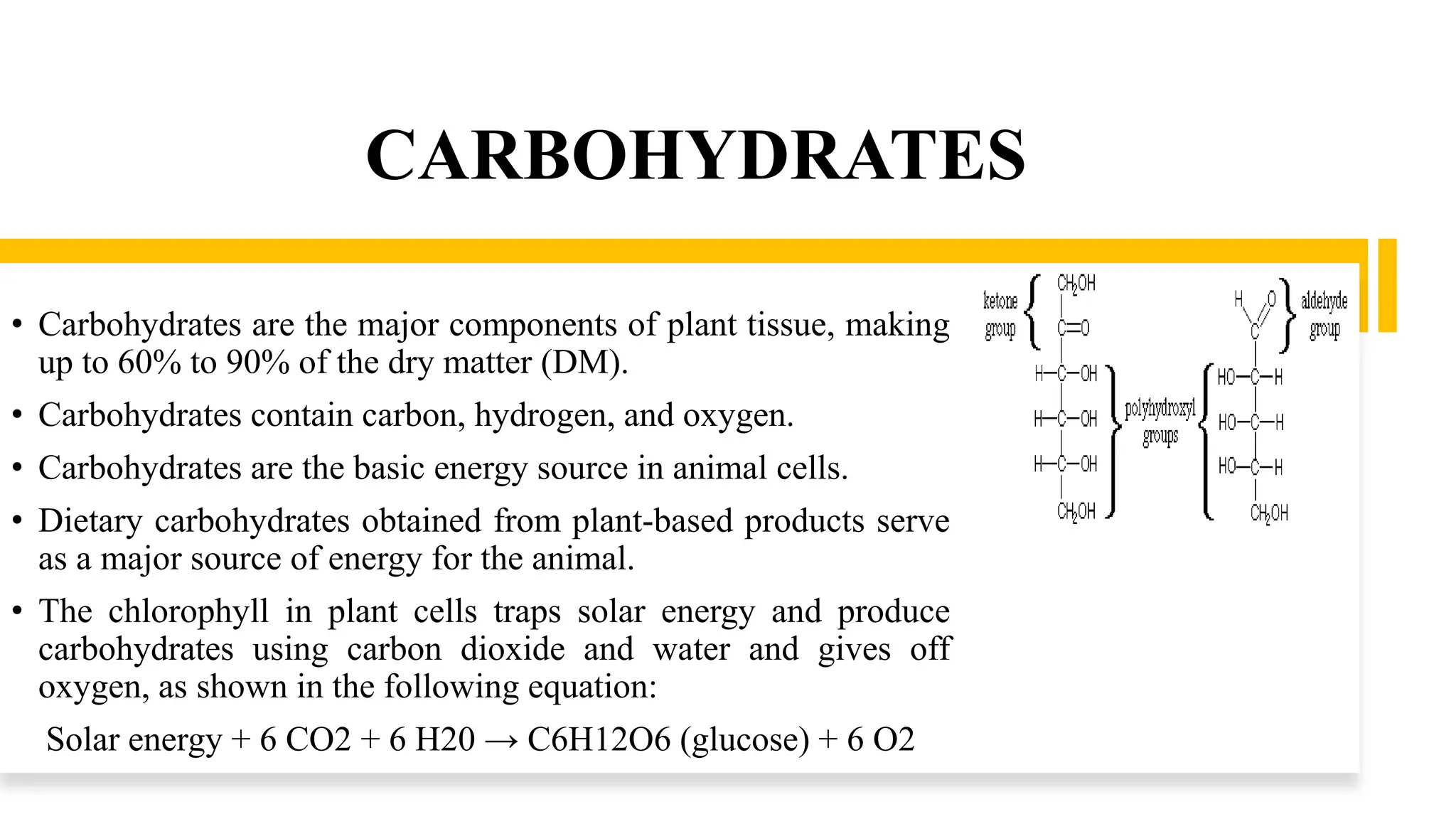 Carbohydrate Introduction, Classification, Function and Deficiency ...