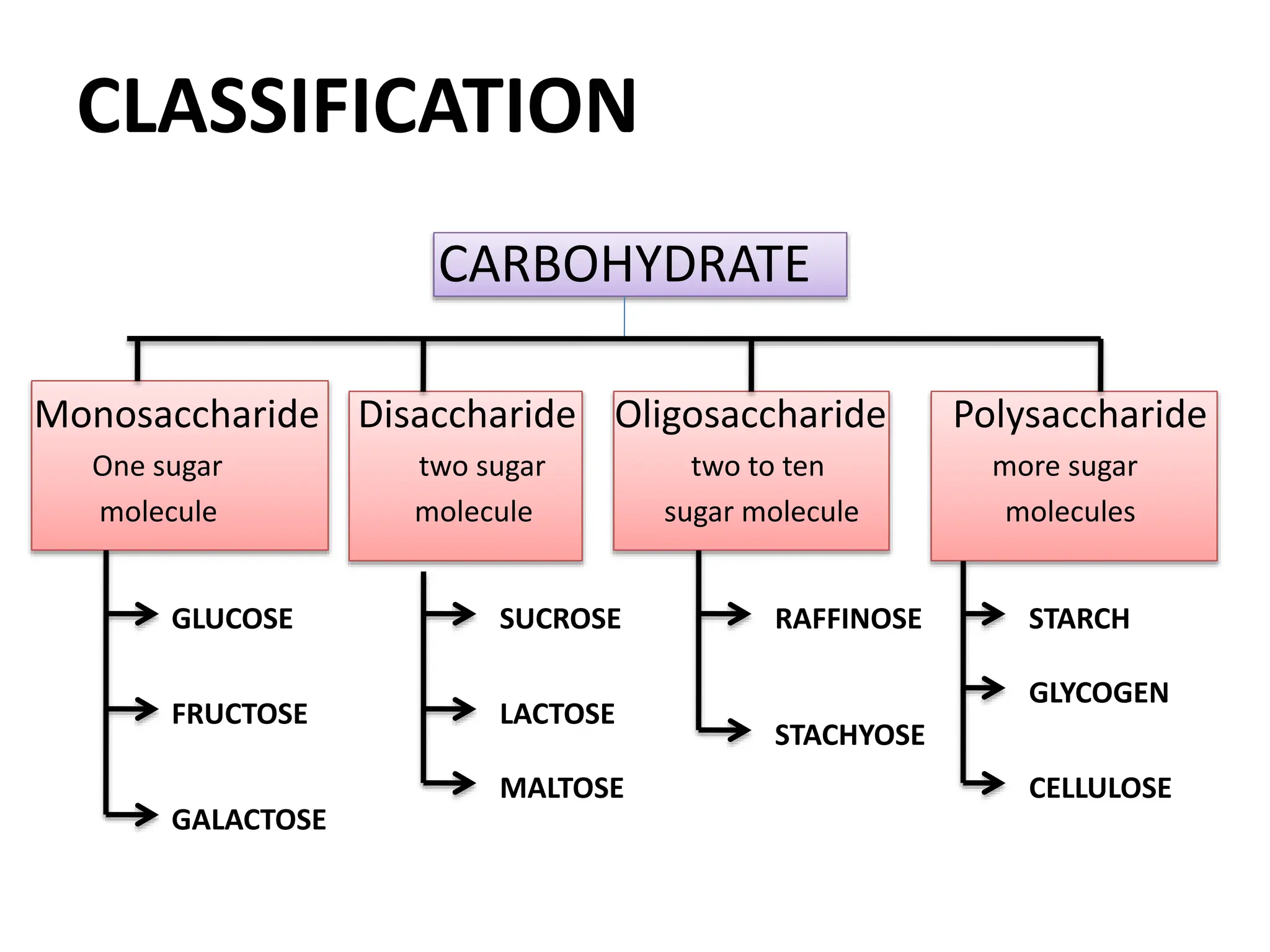FOOD BIOCHEMISTRY OF CARBOHYDRATE.pptx