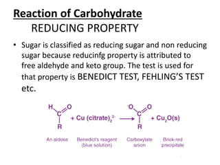 FOOD BIOCHEMISTRY OF CARBOHYDRATE.pptx