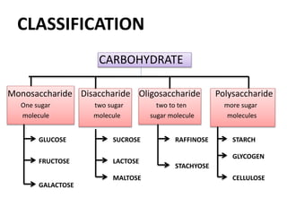 FOOD BIOCHEMISTRY OF CARBOHYDRATE.pptx