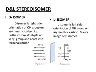 FOOD BIOCHEMISTRY OF CARBOHYDRATE.pptx