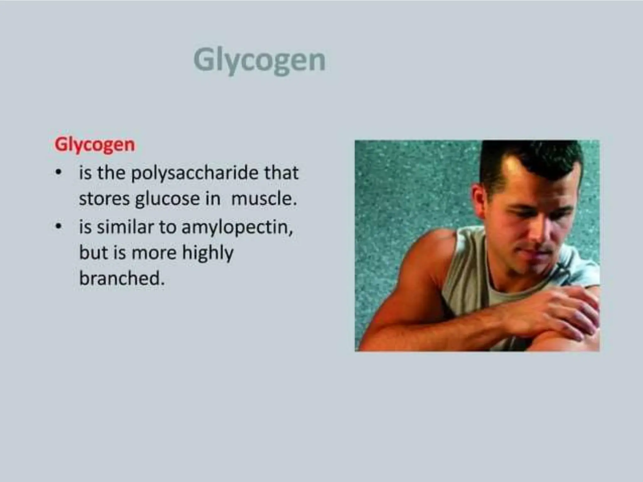 Carbohydrate Classification Function Pptx