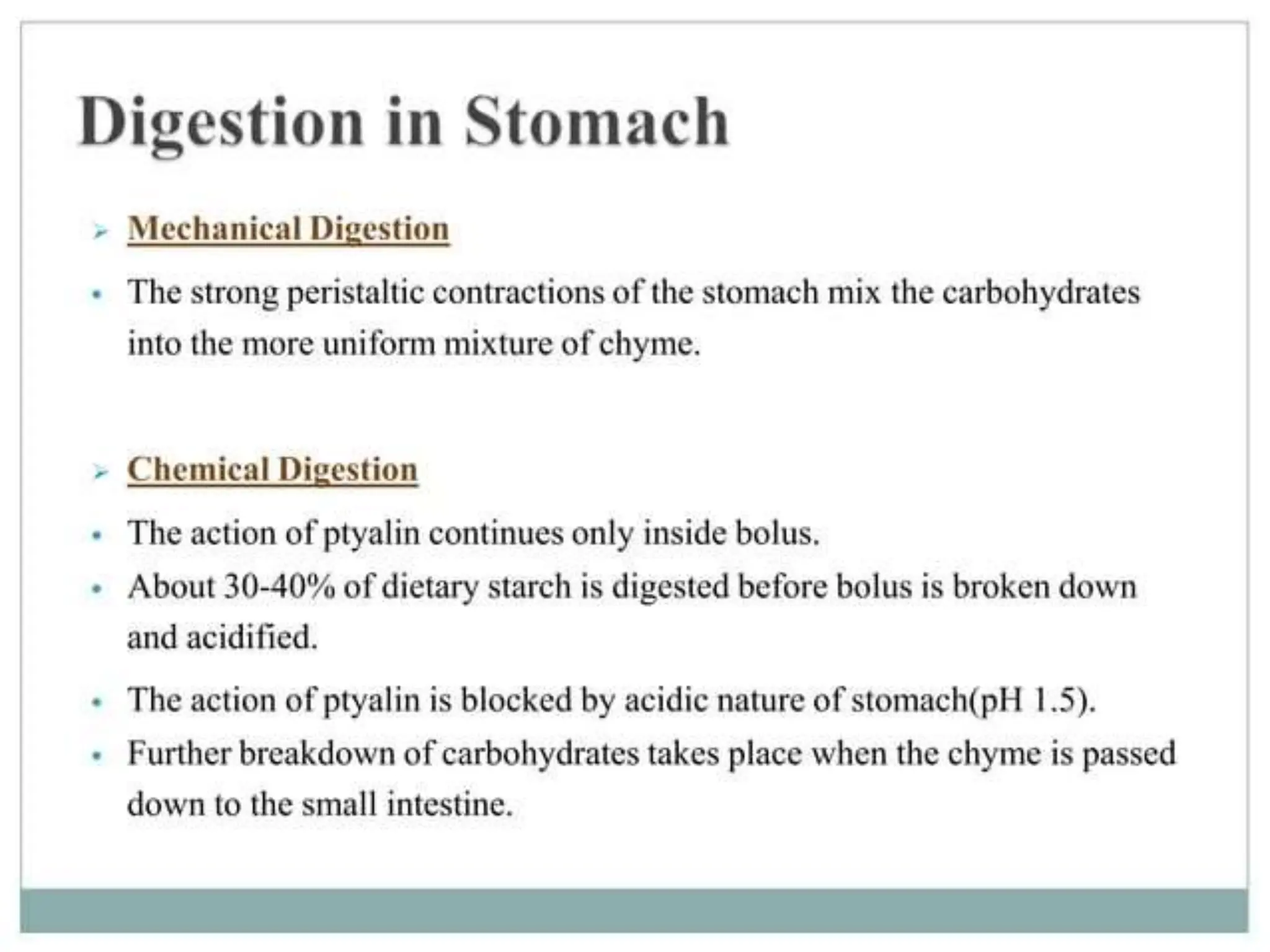 Carbohydrate Classification Function Pptx