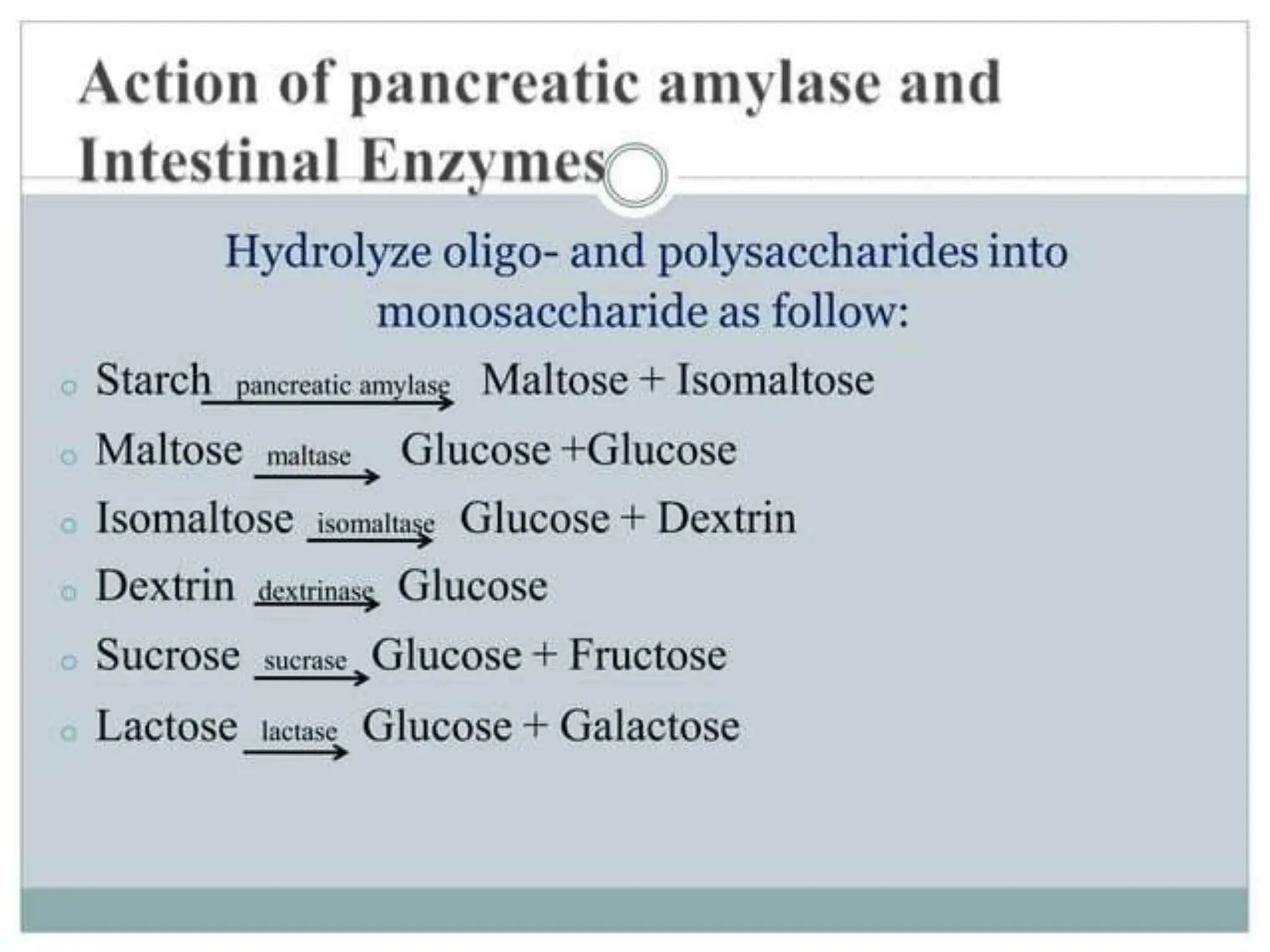 carbohydrate classification function.pptx