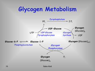 Carbohydrate-Metabolism-1sjdbfbdkdkd.ppt