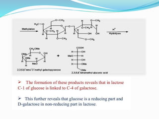 Carbohydrate paper iii | PPTX