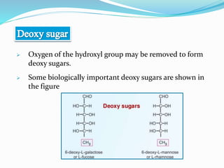 Carbohydrate paper iii | PPTX