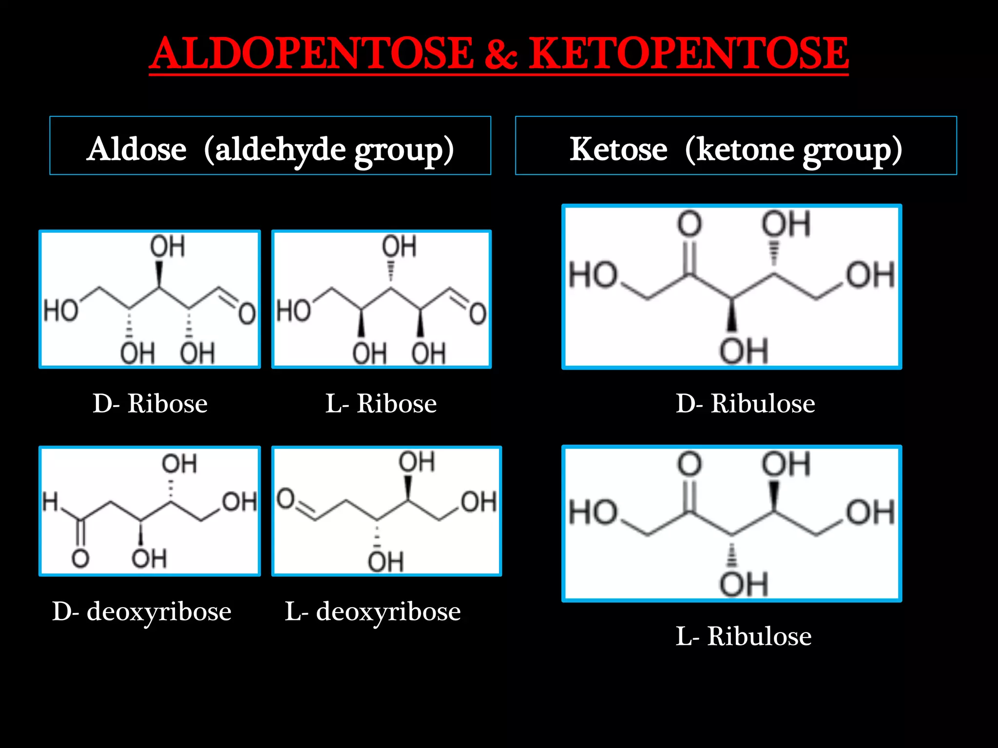 Carbohydrate property, classification and function | PPTX