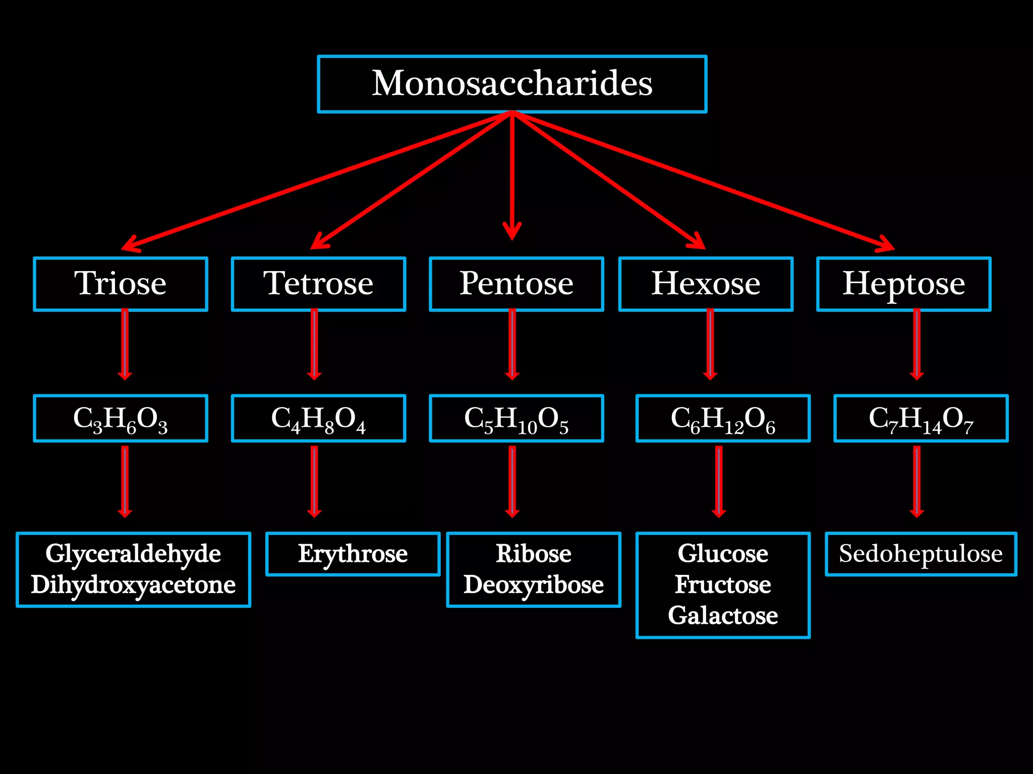 Carbohydrate property, classification and function | PPTX