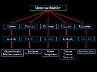 Carbohydrate property, classification and function | PPT
