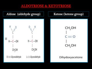 Aldotriose