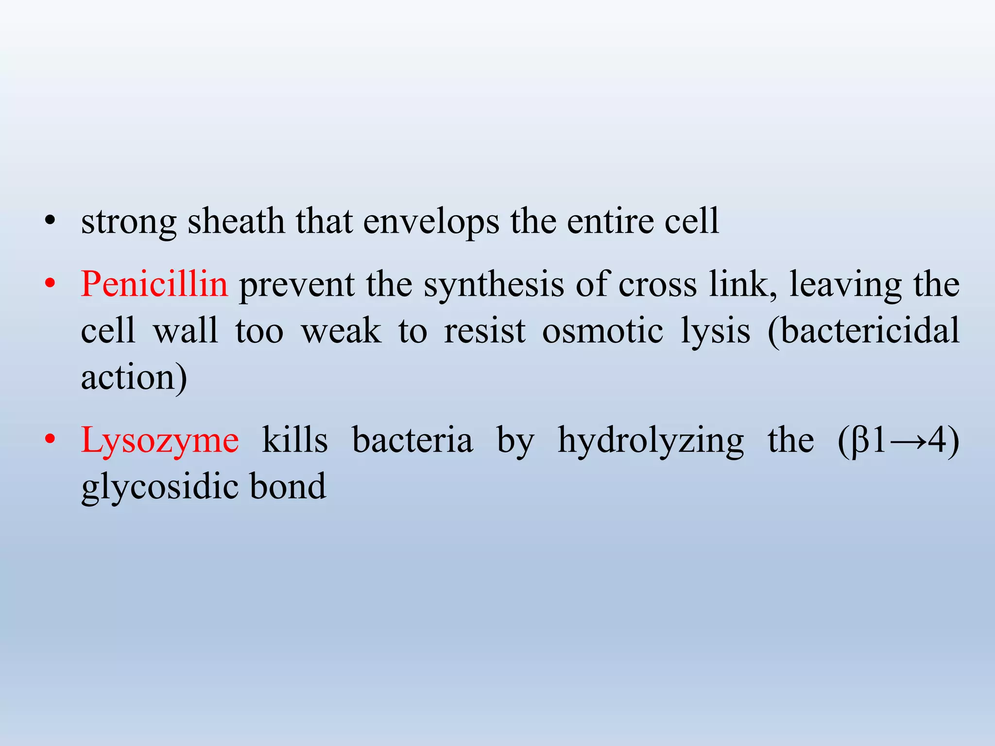 Carbohydrate | PPTX