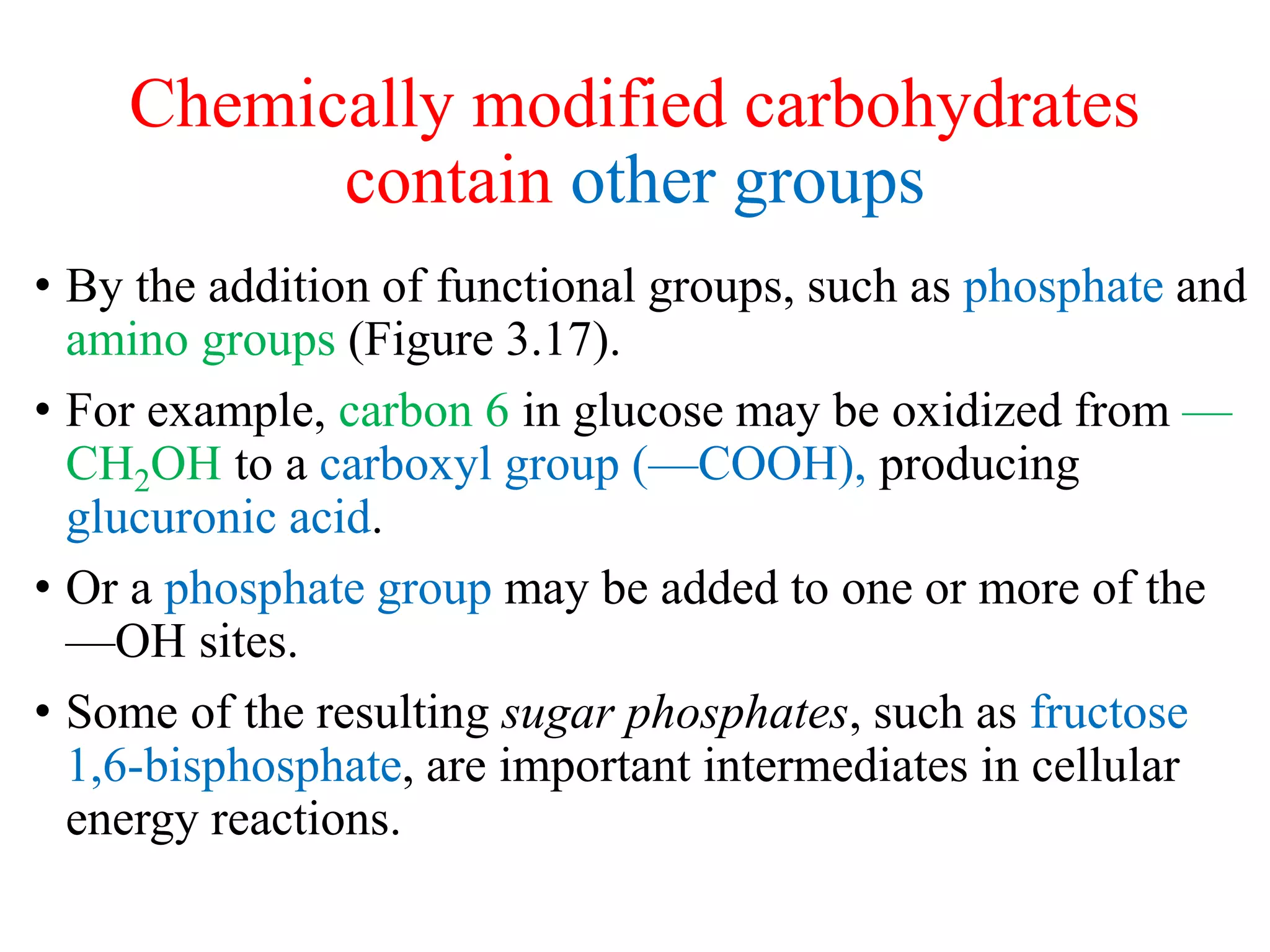 Carbohydrate | PPTX