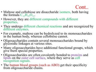 Carbohydrate | PPTX | Chemistry | Science