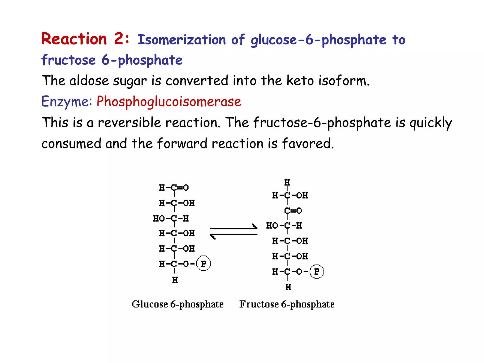 Carbohydrate 2 | PPT