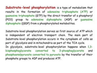 Carbohydrate 4 | PPT
