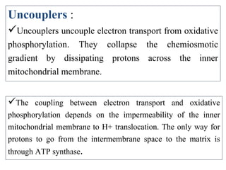 Carbohydrates and carbohdrates metabolism Rajesh Kumar Kushwaha | PDF