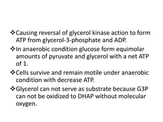 Carbohydrate and energy metabolism in trypanosome and plasmodia | PPT
