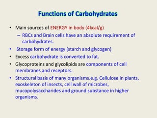 Carbohydrates Structure And Function