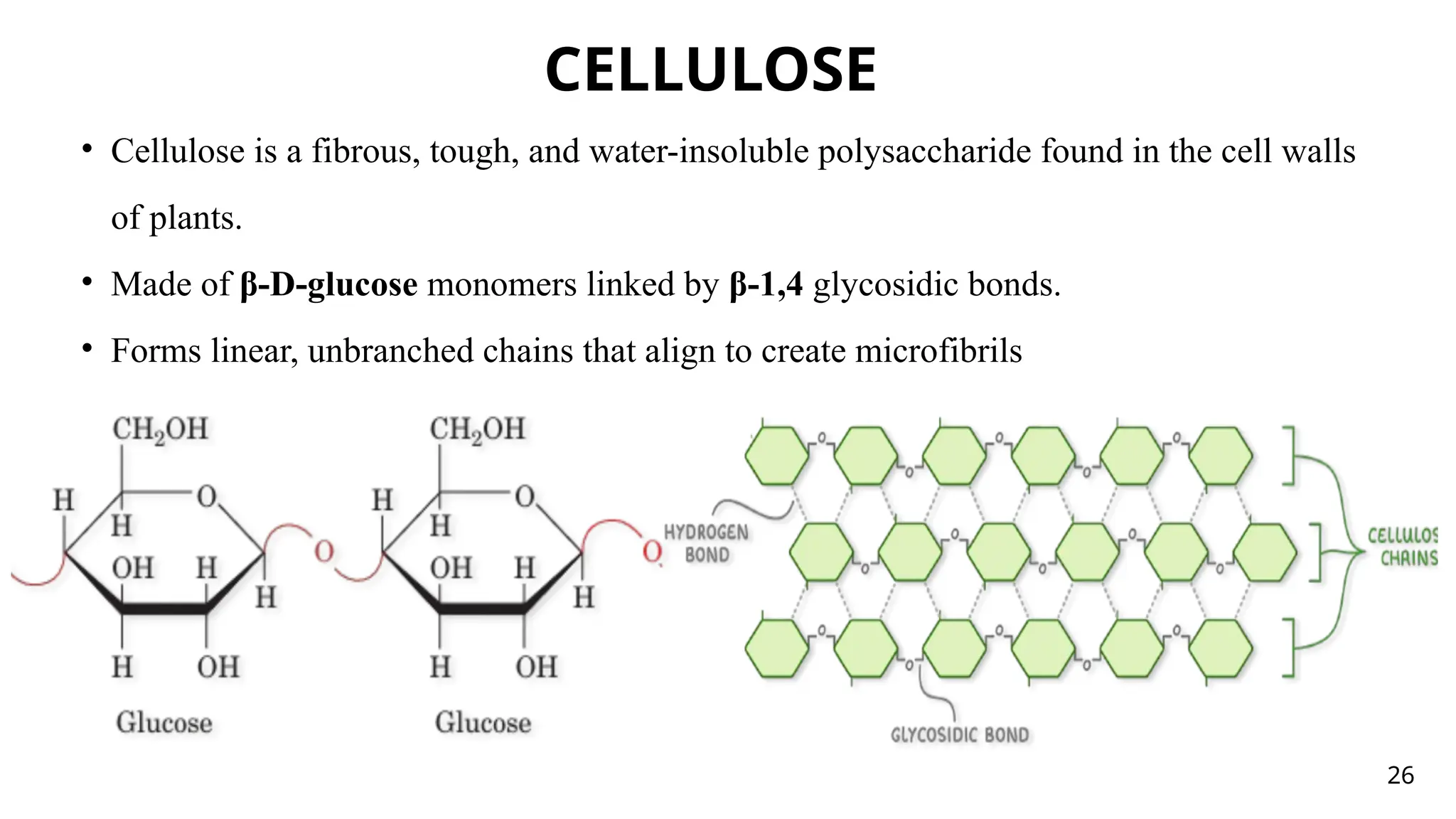 Carbohydrate Chemistry it's classification | PPTX