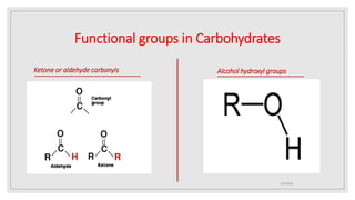 CARBOHYDRATE CHEMISTRY (KUIT Year 1).pptx