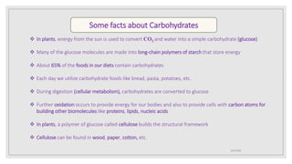 CARBOHYDRATE CHEMISTRY (KUIT Year 1).pptx