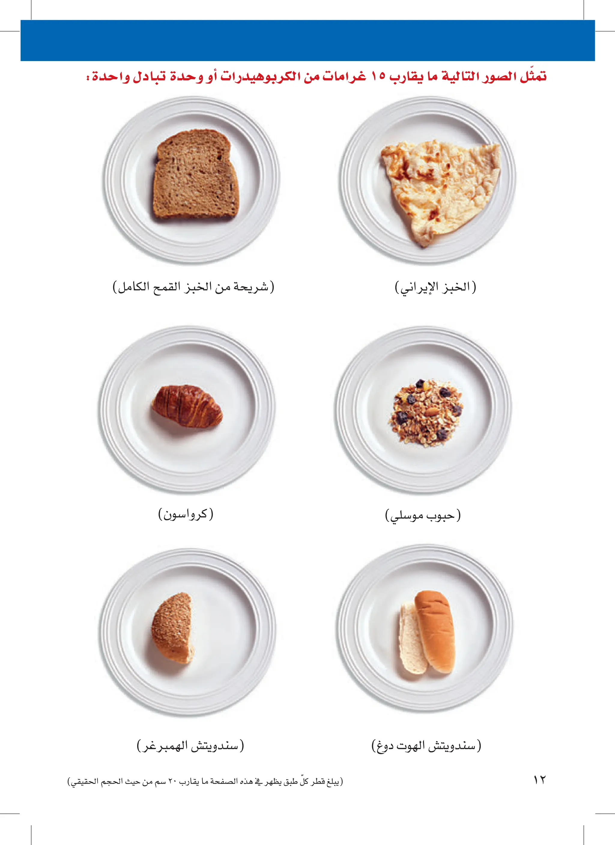 Carbohydrate Counting Arabic Book (1).pdf
