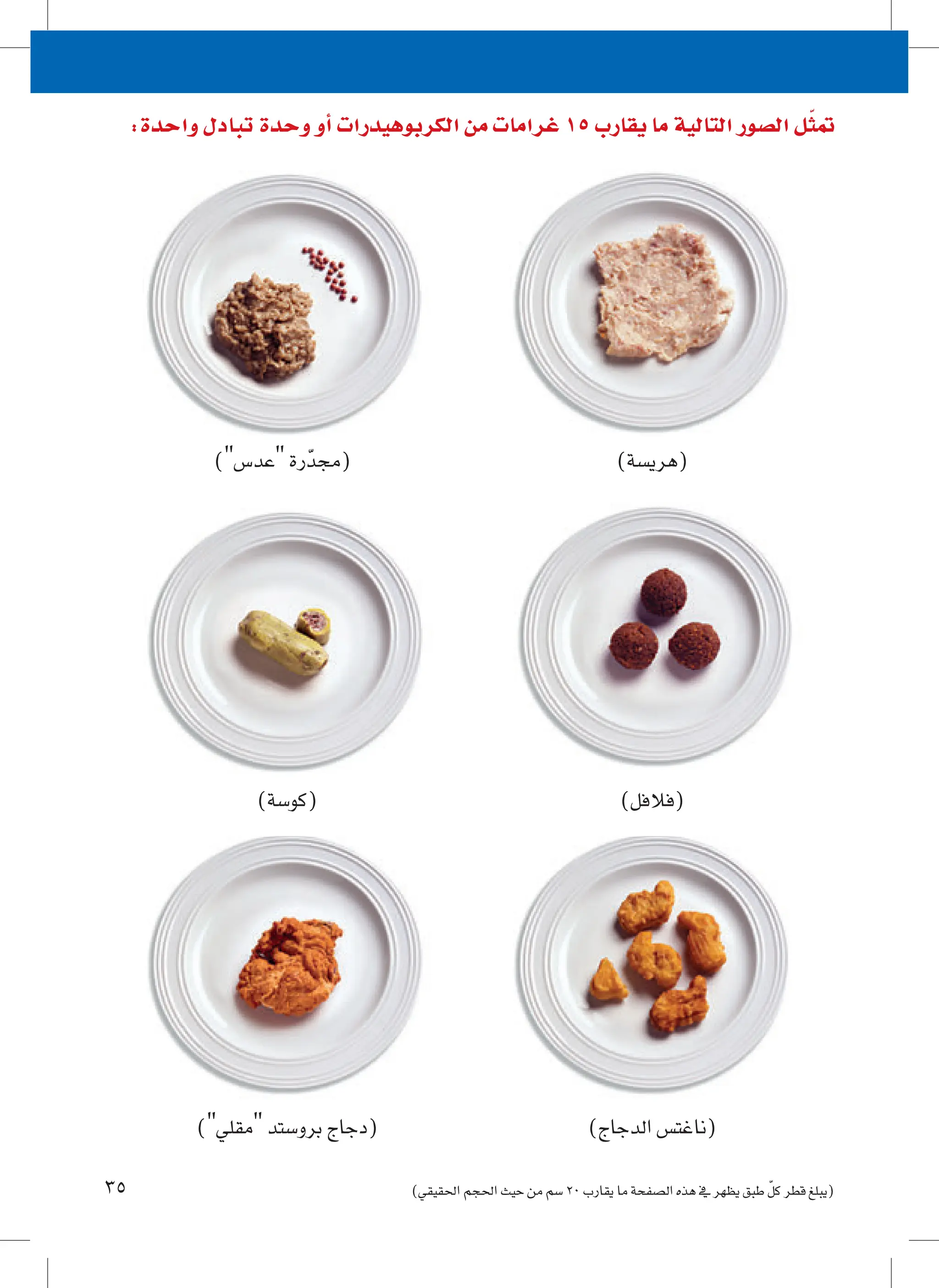 Carbohydrate Counting Arabic Book (1).pdf