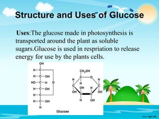 Carbohydrate derivatives as pharmaceutical excipient | PPTX