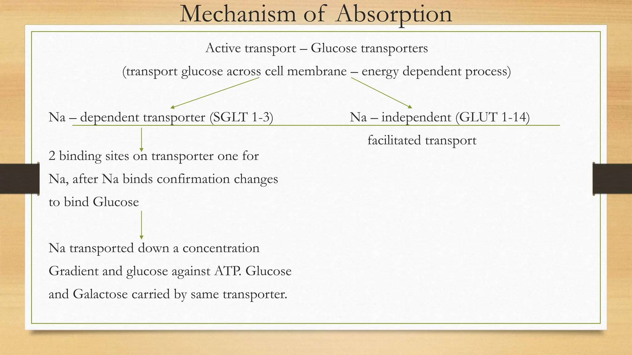 Carbohydrate digestion and absorption.pptx