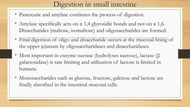Carbohydrate digestion and absorption.pptx