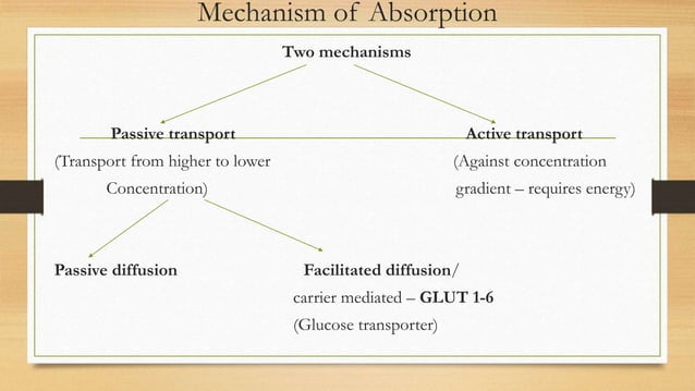 Carbohydrate digestion and absorption.pptx