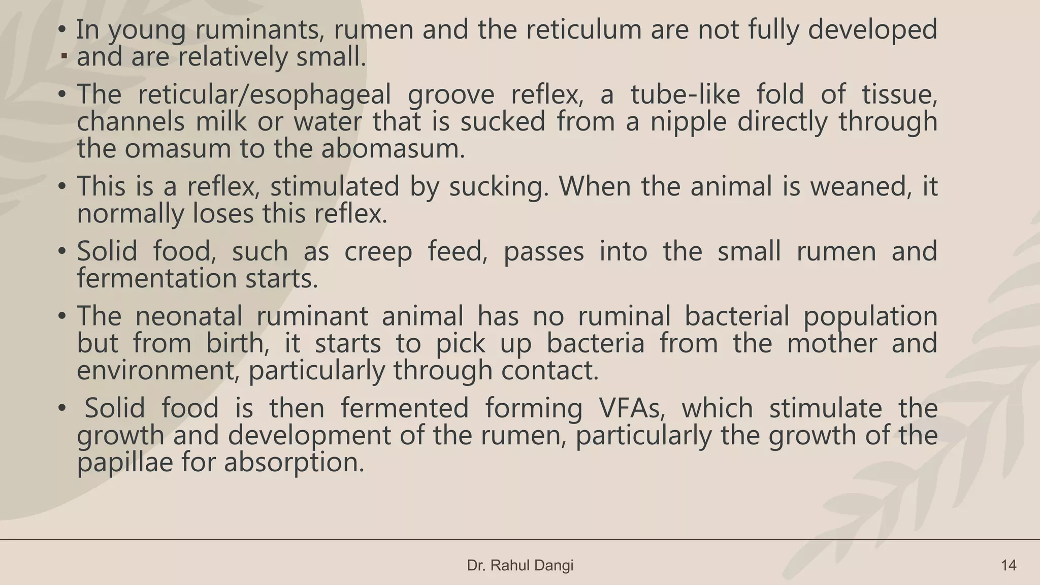 Carbohydrate digestion and metabolism in Ruminants Carbohydrate ...
