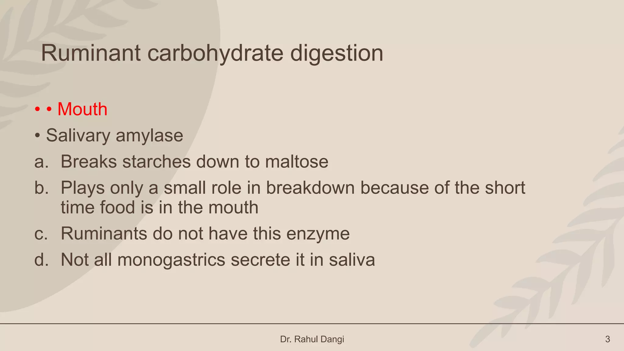 Carbohydrate digestion and metabolism in Ruminants Carbohydrate ...