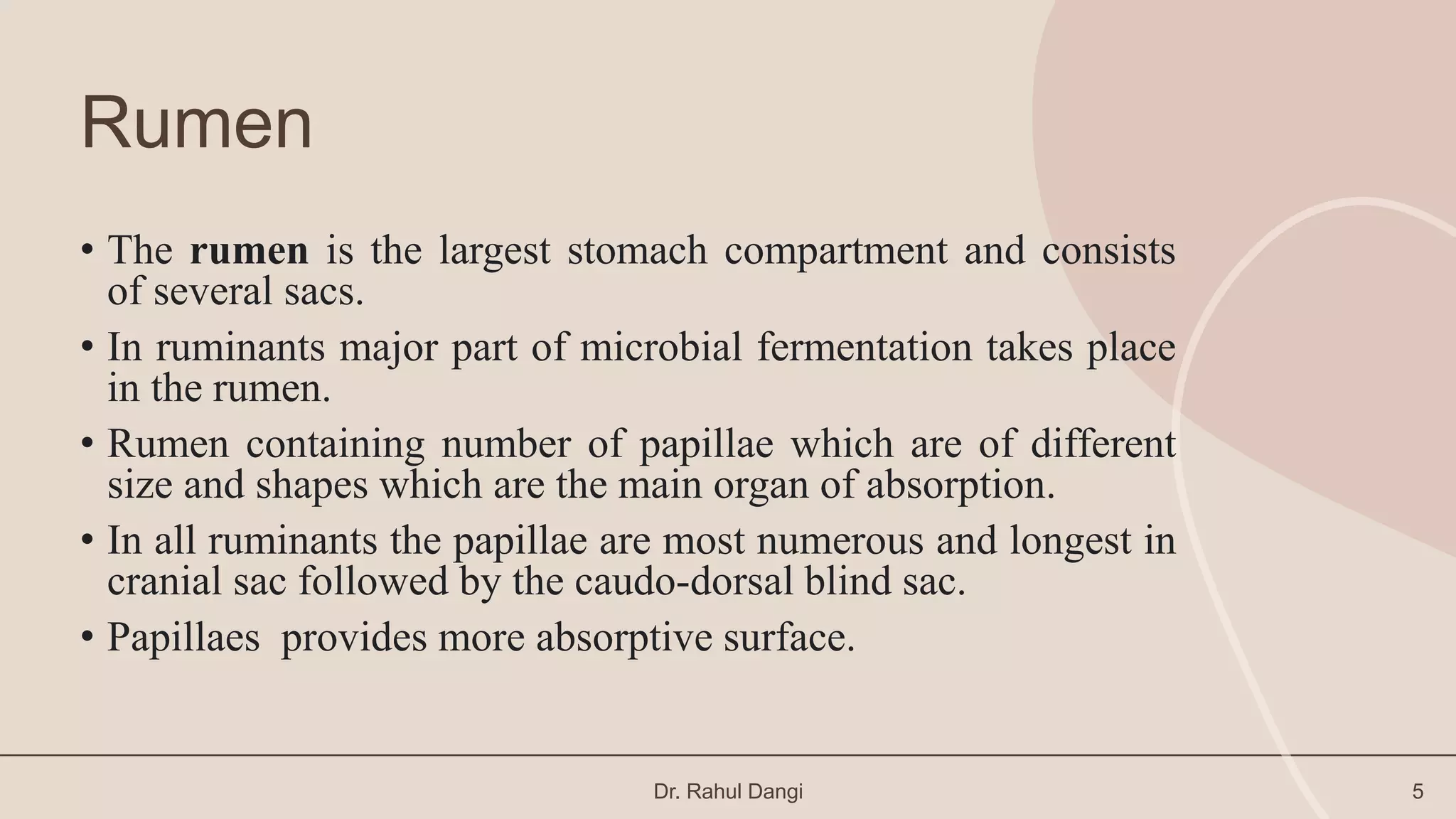 Carbohydrate digestion and metabolism in Ruminants Carbohydrate ...