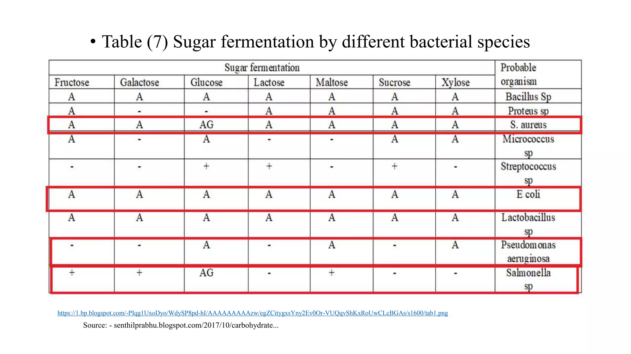 Carbohydrate fermentation test 1 | PPTX