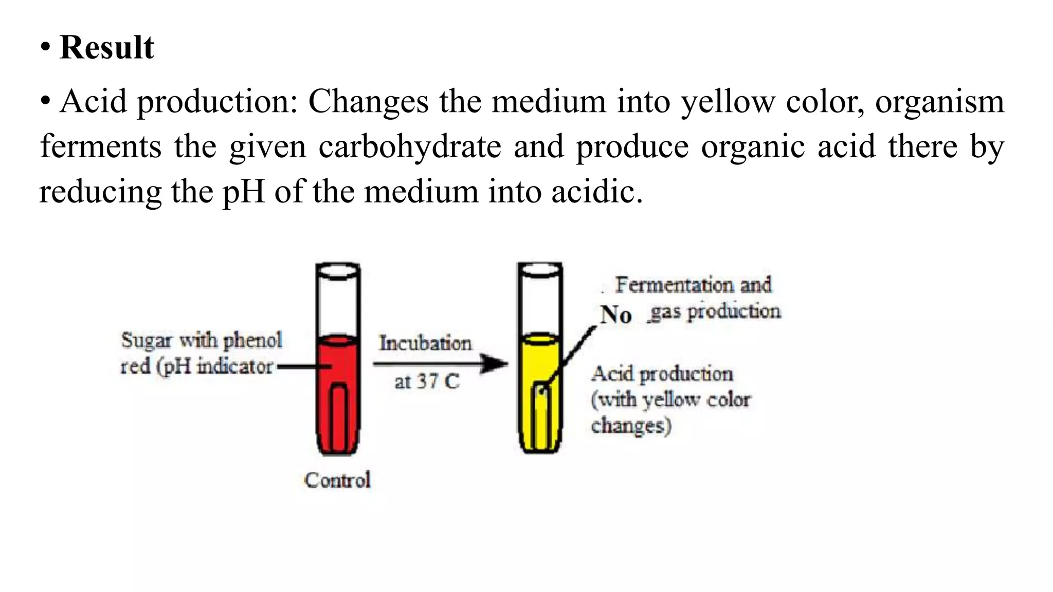 Carbohydrate fermentation test 1 | PPTX