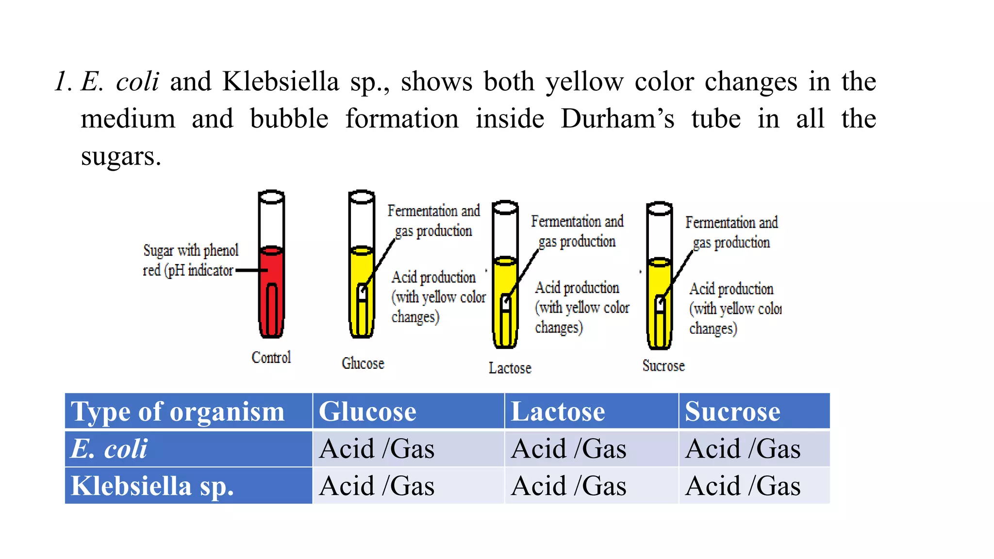 Carbohydrate fermentation test 1 | PPTX