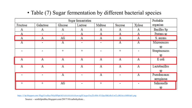 Carbohydrate fermentation test 1 | PPTX | Chemistry | Science