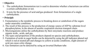 Carbohydrate fermentation test 1 | PPTX