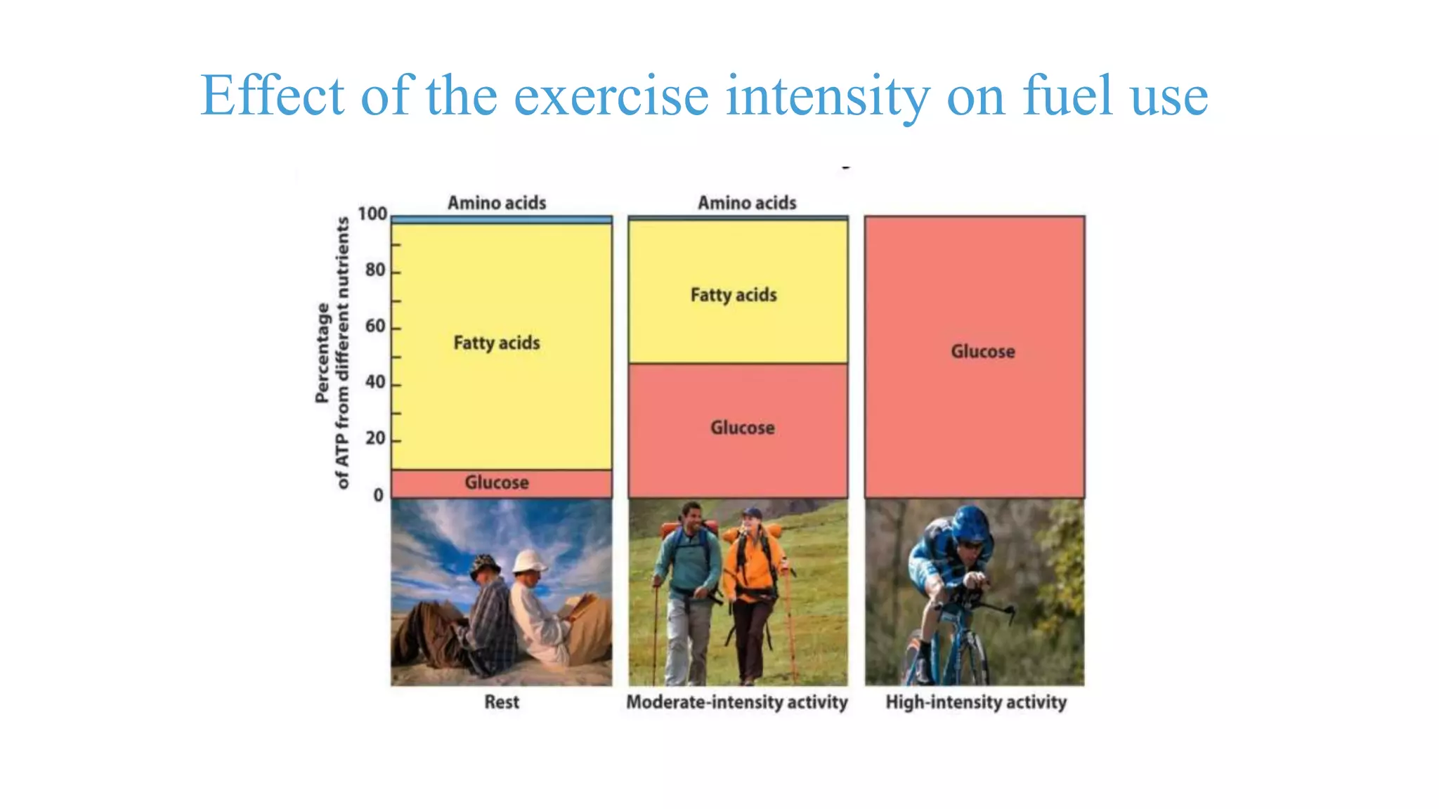 Carbohydrate for exercise | PPTX